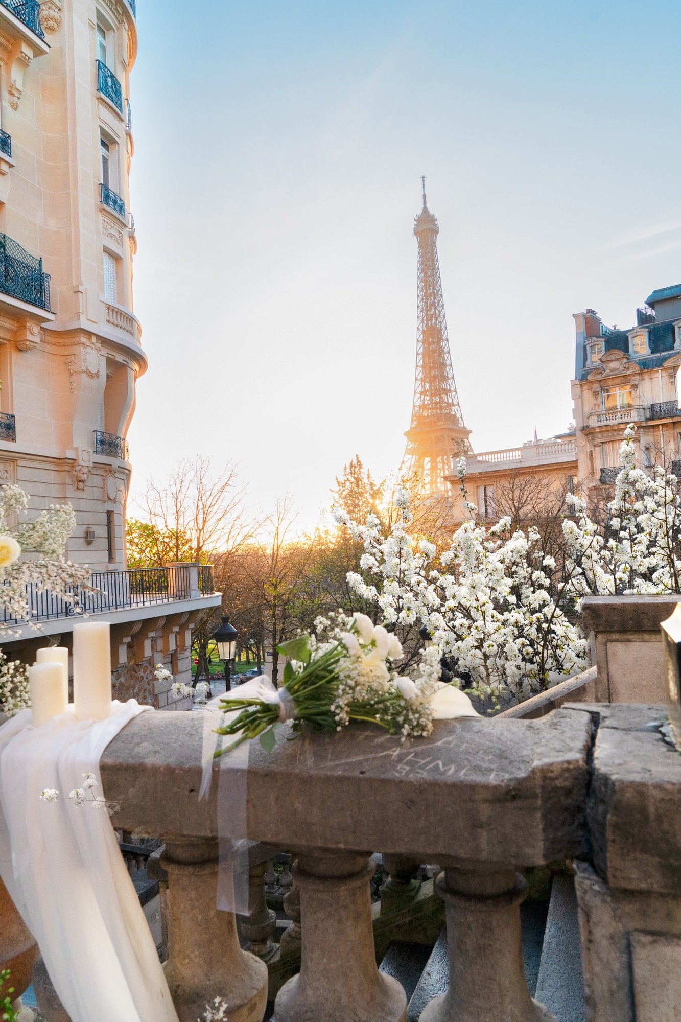 Home - Fly Middleton